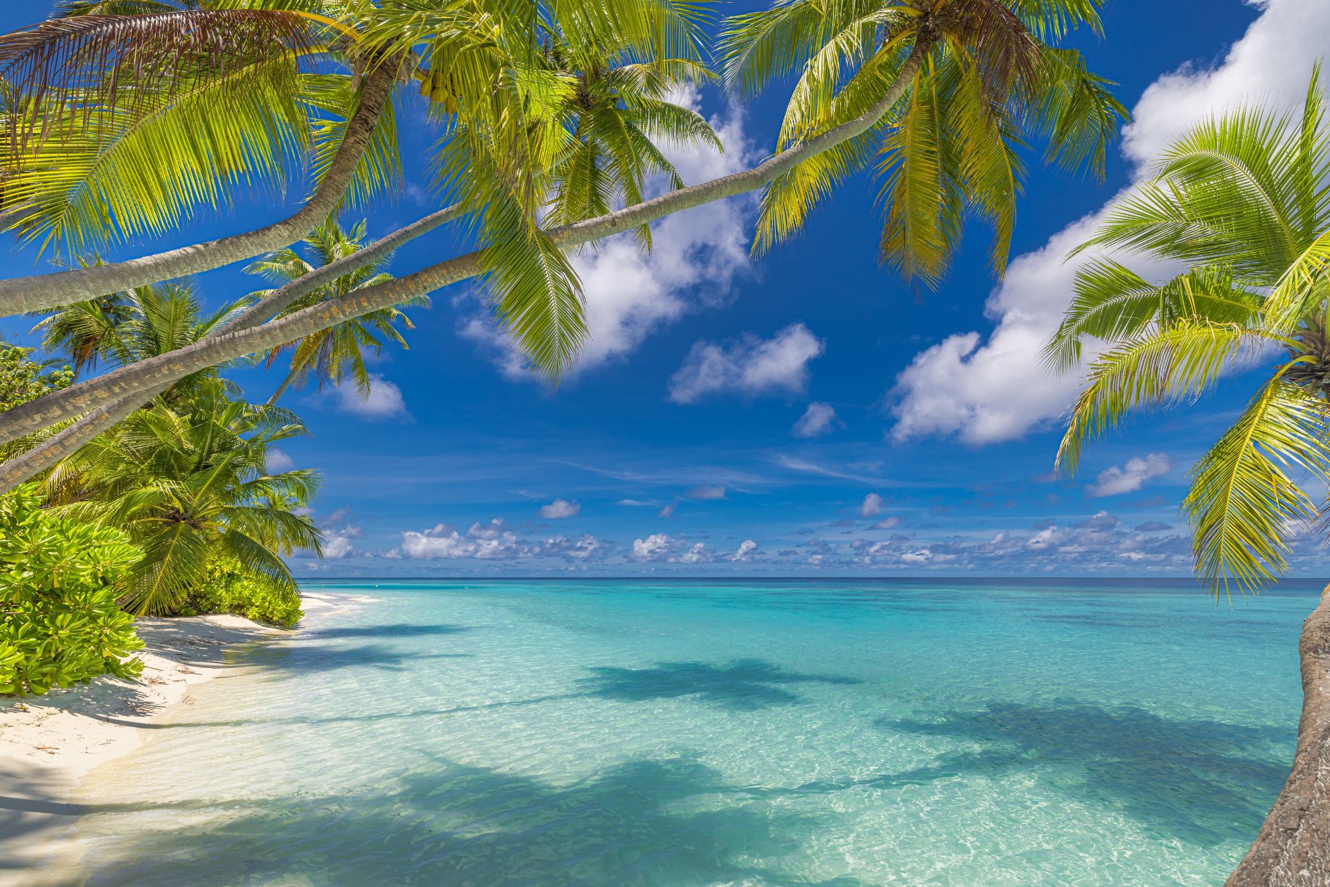 Private Jet to Bahamas | Air Charter Flights | Private Jet